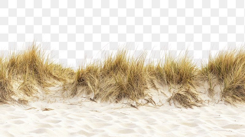 Dune PNG Images | Free Photos, PNG Stickers, Wallpapers & Backgrounds ...