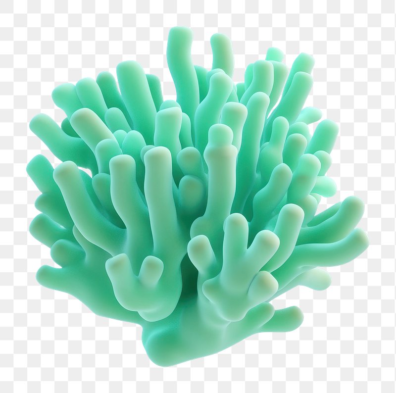 Coral Transparent Images | Free Photos, PNG Stickers, Wallpapers ...