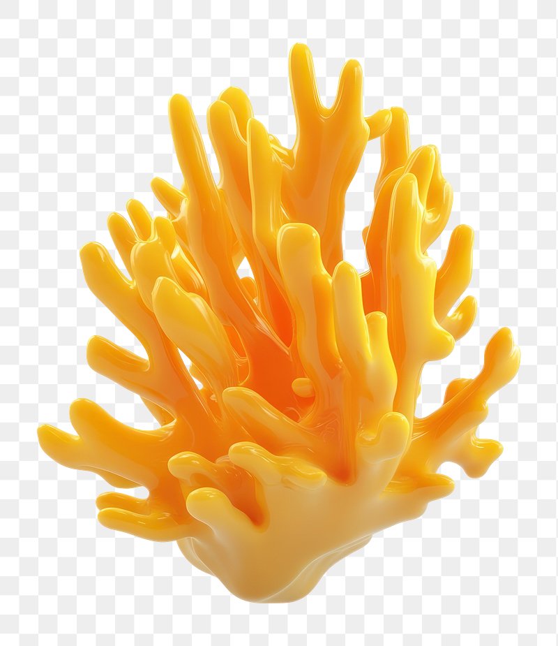 Coral PNG Images | Free Photos, PNG Stickers, Wallpapers & Backgrounds ...