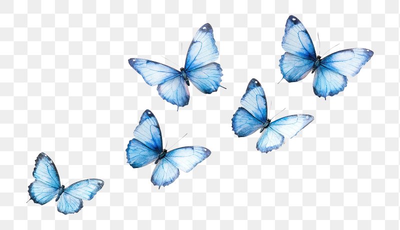 Blue+butterflys Butterfly PNG Images | Free Photos, PNG Stickers ...