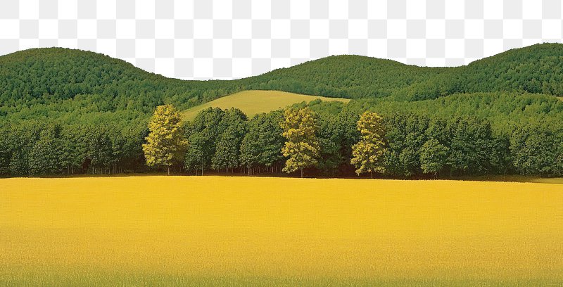 Countryside PNG Images | Free Photos, PNG Stickers, Wallpapers ...