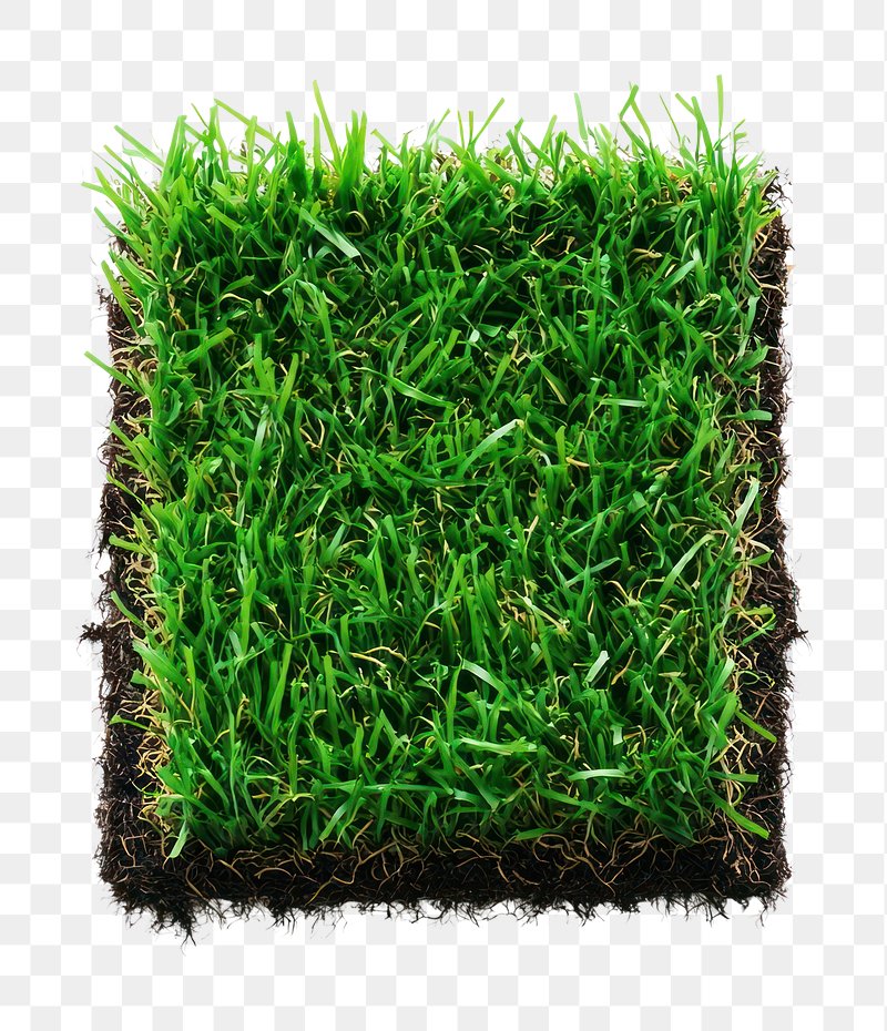 Grass Texture Images | Free Photos, PNG Stickers, Wallpapers ...