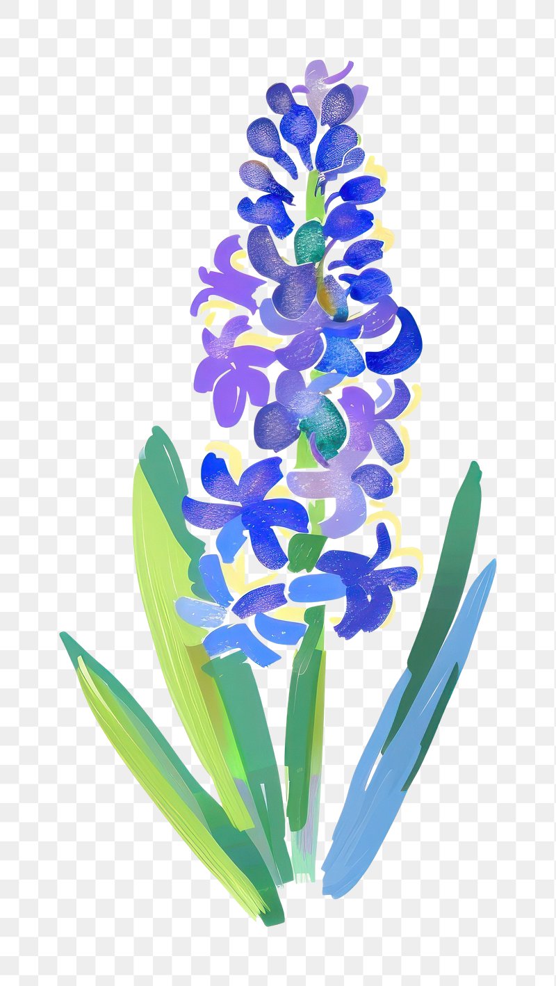 Flower Drawing Transparent Images | Free Photos, PNG Stickers ...