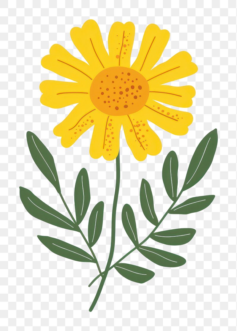 PNG Marigold flower illustration leaves | Free PNG - rawpixel