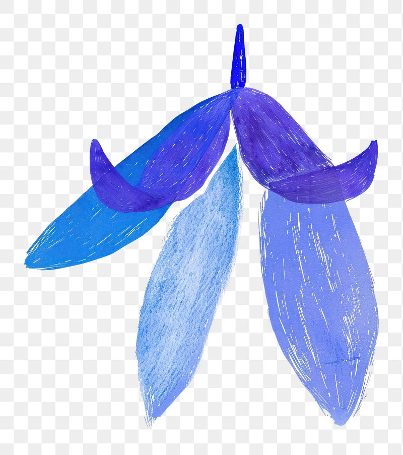 Flower Drawing Transparent Images | Free Photos, PNG Stickers ...