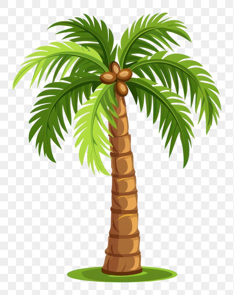 PNG Real tropical palm tree | Free PNG - rawpixel