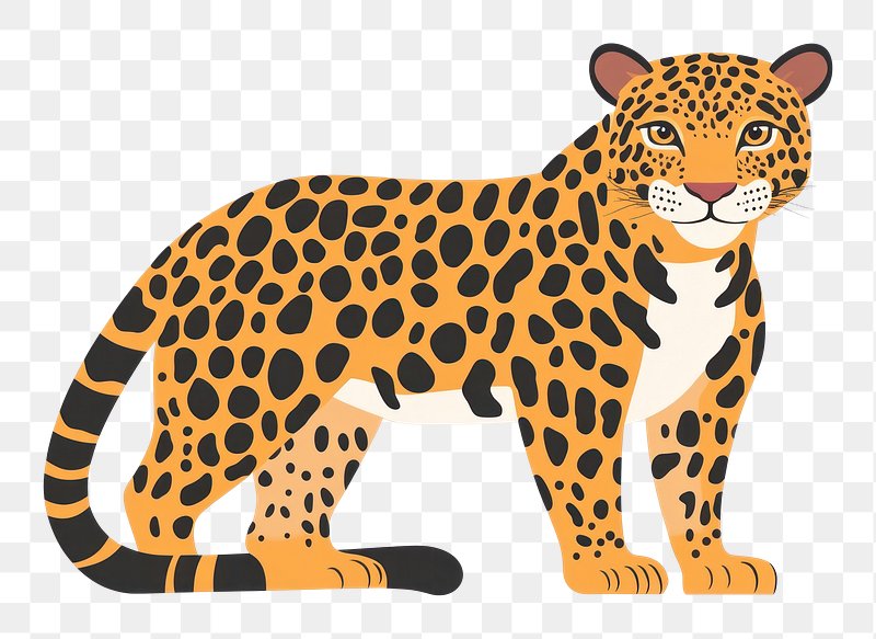Leopard Drawing PNG Images | Free Photos, PNG Stickers, Wallpapers ...