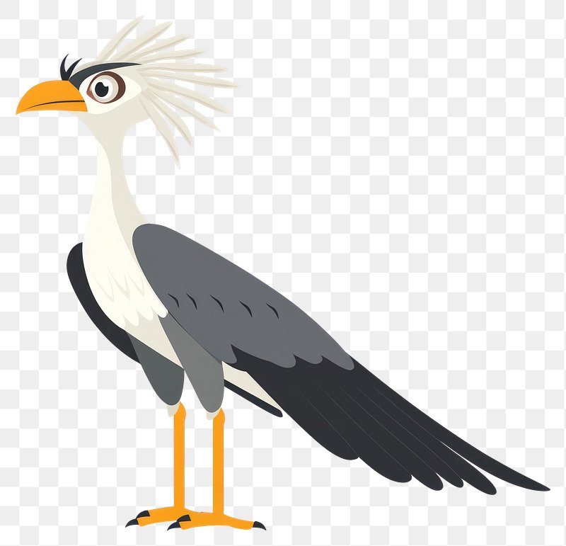 Secretary Bird Images | Free Photos, PNG Stickers, Wallpapers ...