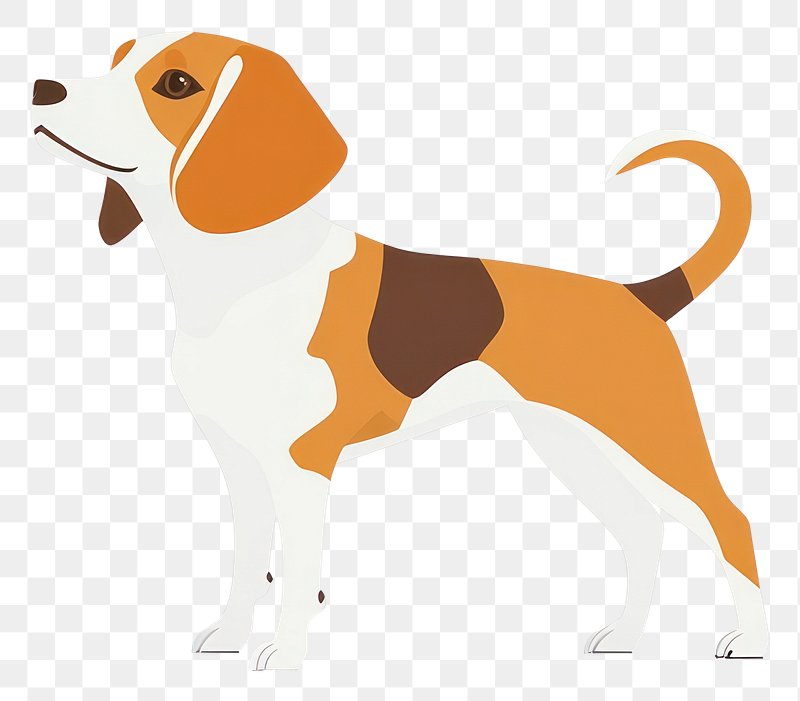 Dog Beagle PNG Images | Free Photos, PNG Stickers, Wallpapers ...