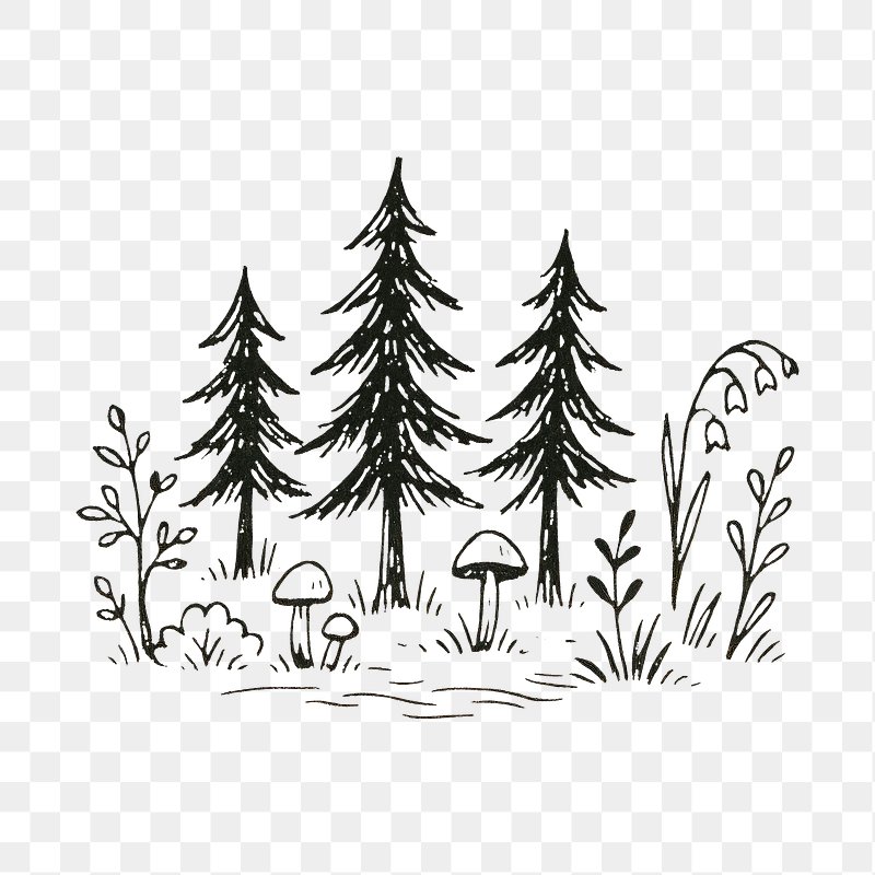 Forest, Sketch Texture Nature Shadow PNG Images | Free Photos, PNG ...