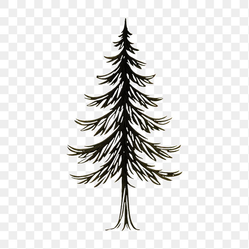 Forest, Sketch Tree Shadow Images | Free Photos, PNG Stickers ...