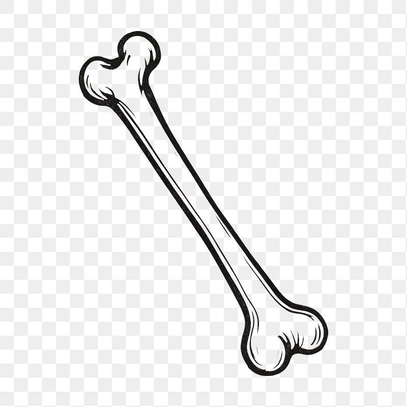 Bone Texture Images | Free Photos, PNG Stickers, Wallpapers ...