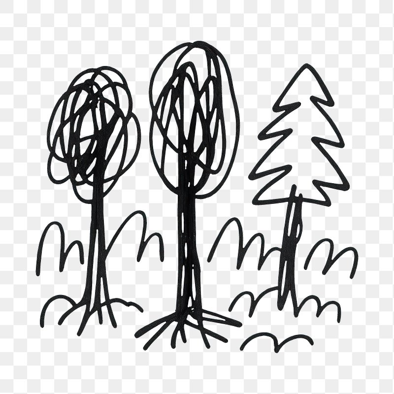Forest, Sketch Tree Shadow Images | Free Photos, PNG Stickers ...
