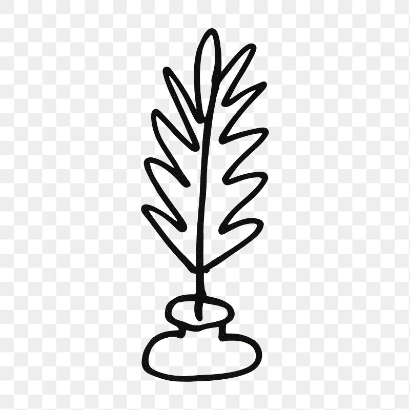 Quill+drawing PNG Images | Free Photos, PNG Stickers, Wallpapers ...