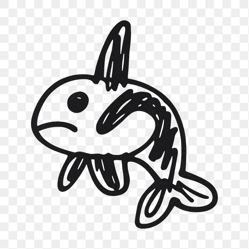 Orca+drawing PNG Images | Free Photos, PNG Stickers, Wallpapers ...