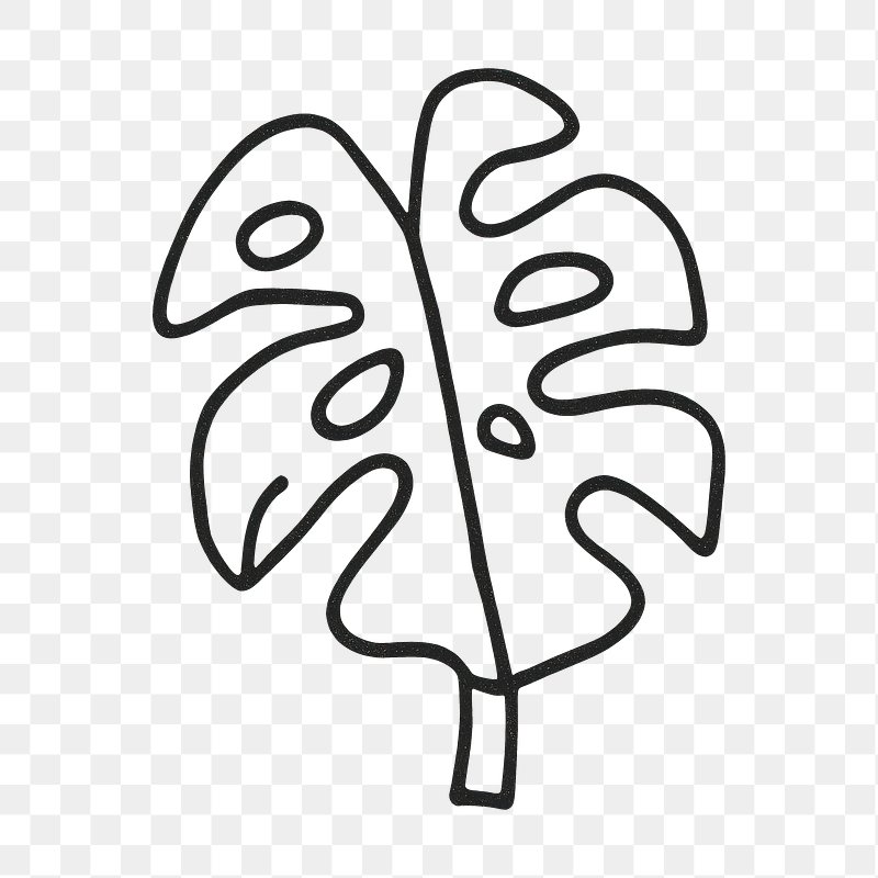 Monstera Sketch Background Images | Free Photos, PNG Stickers ...