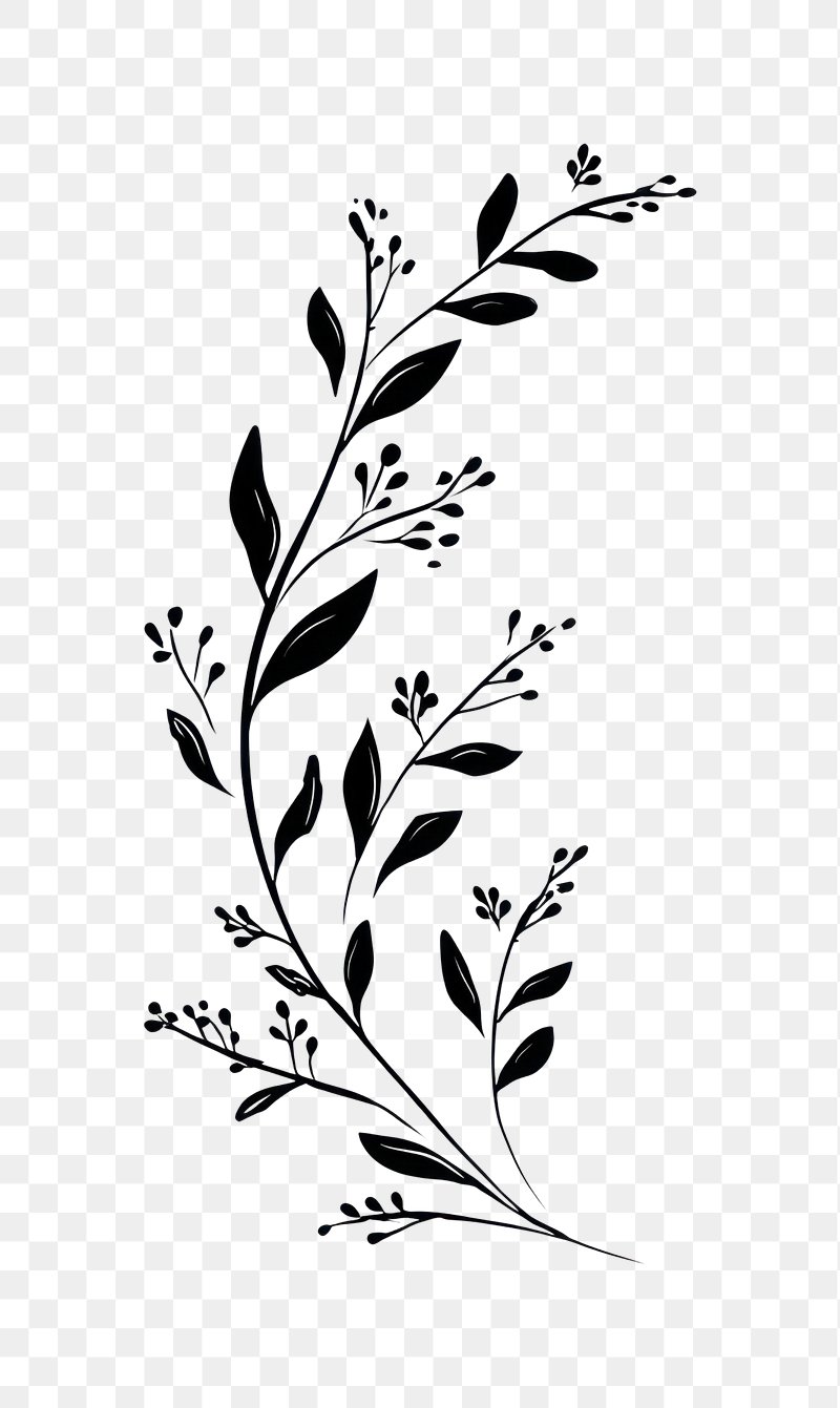 PNG Border Simple Design Images | Free Photos, PNG Stickers, Wallpapers ...