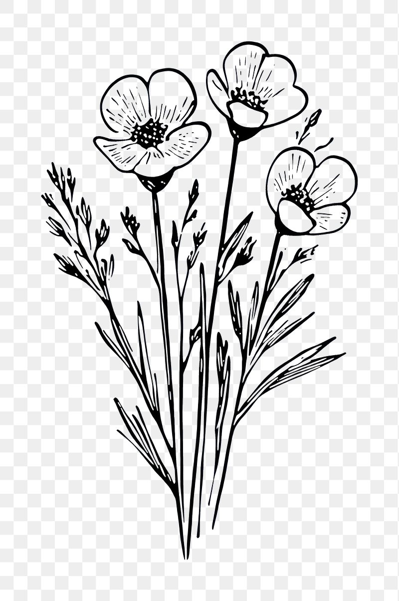 Sketch+of+a Drawing Design Art Images | Free Photos, PNG Stickers ...