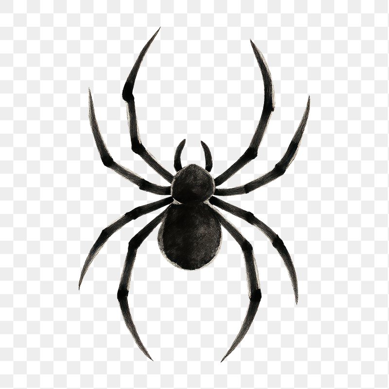 Legs Aesthetic Black PNG Isolated Texture Images | Free Photos, PNG ...