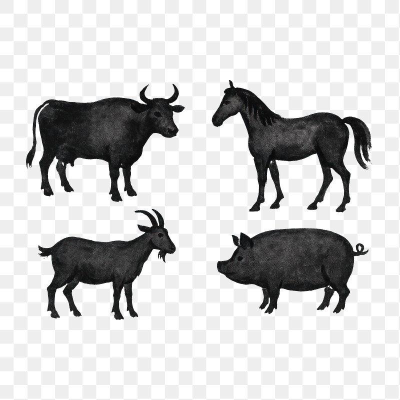 Cow & Goat Pig Silhouette Images | Free Photos, PNG Stickers ...