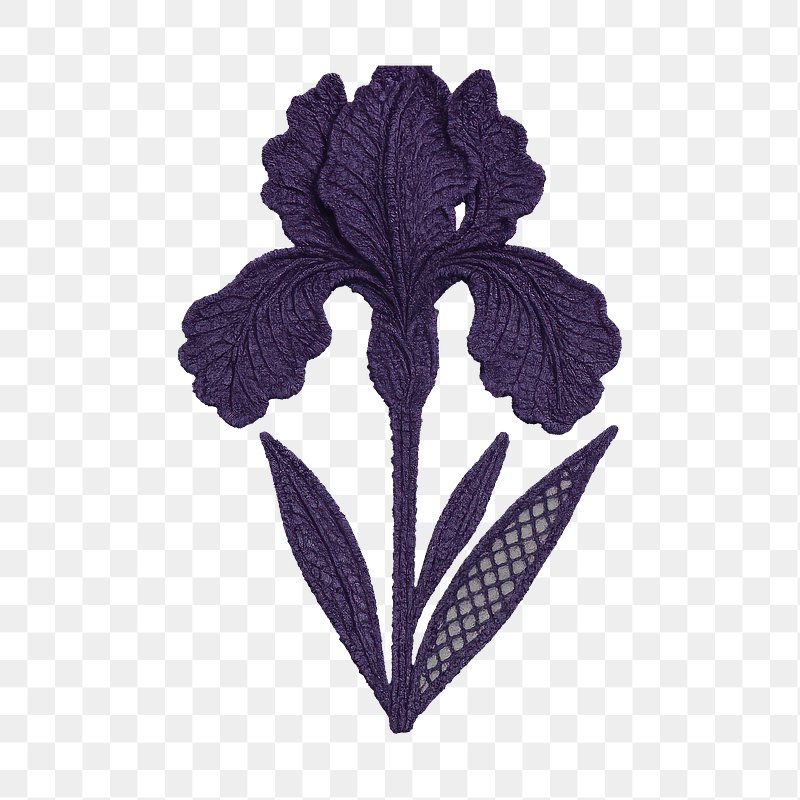 Iris Floral Pattern Texture Images | Free Photos, PNG Stickers ...