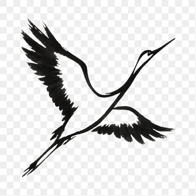 Bird Texture Transparent Images | Free Photos, PNG Stickers, Wallpapers ...