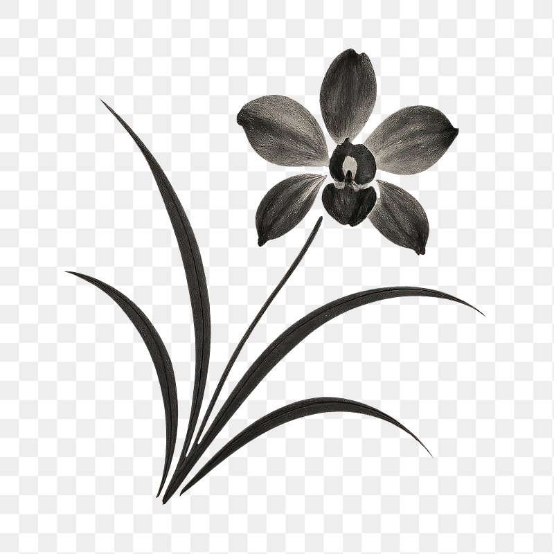 Drawing+in Artwork Images | Free Photos, PNG Stickers, Wallpapers ...