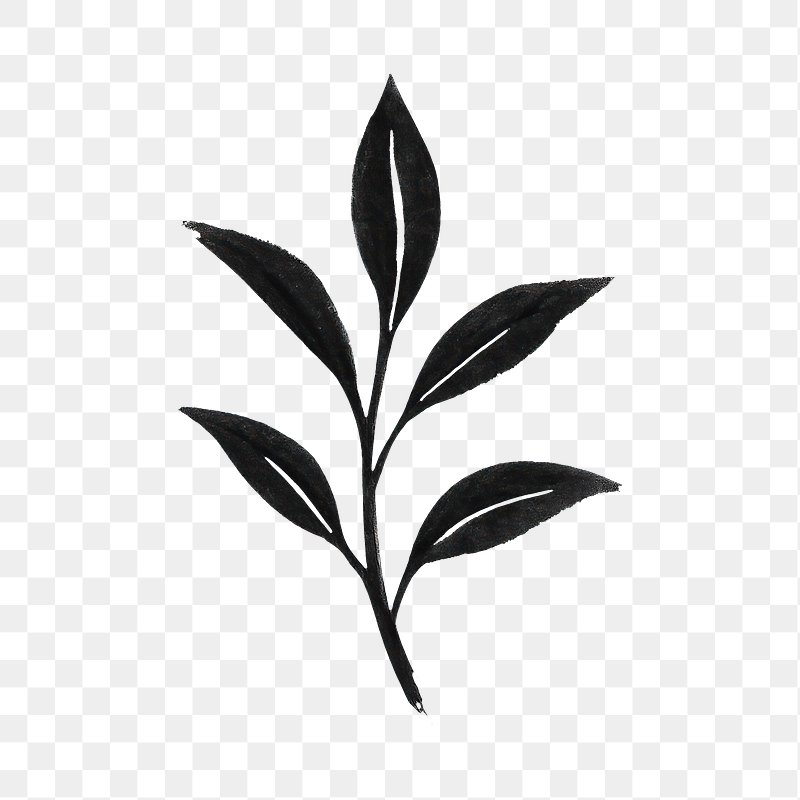 +plants+simple+designs+and+simple Nature Images | Free Photos, PNG ...