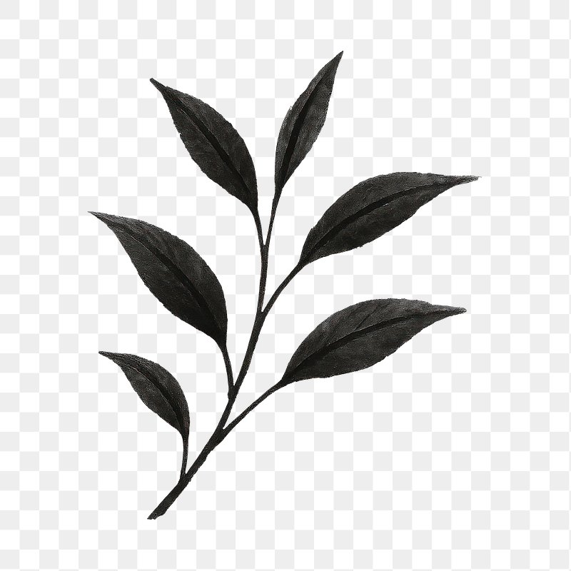 Ink Drawings Sketch Images | Free Photos, PNG Stickers, Wallpapers ...