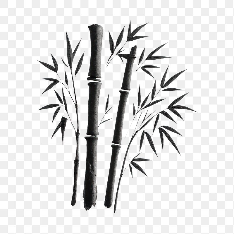 Bamboo+brush. Aesthetic Texture Images | Free Photos, PNG Stickers ...