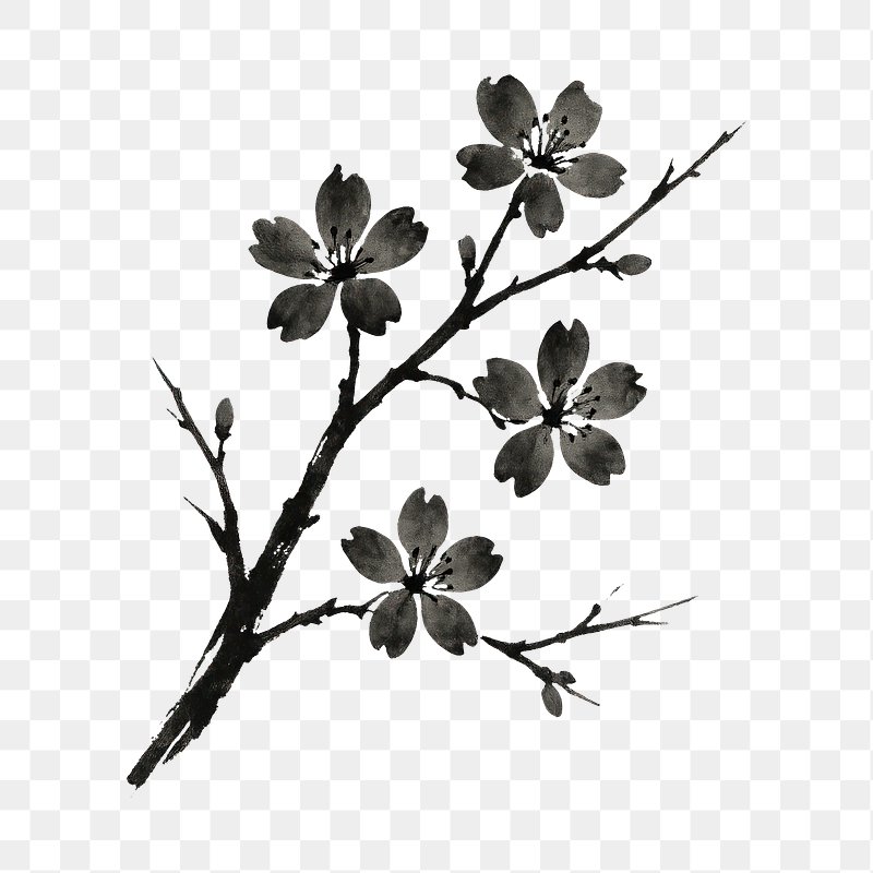 Painting Cherries Transparent Images | Free Photos, PNG Stickers ...