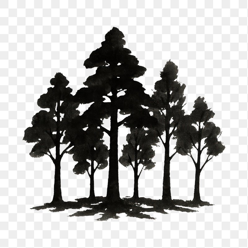 Tree+in+white Background Images | Free Photos, PNG Stickers, Wallpapers ...