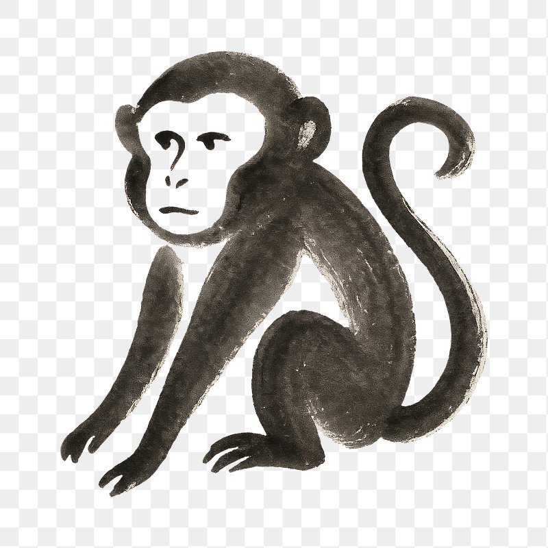 Monkey Animal Textures PNG Shadow Illustration Images | Free Photos ...
