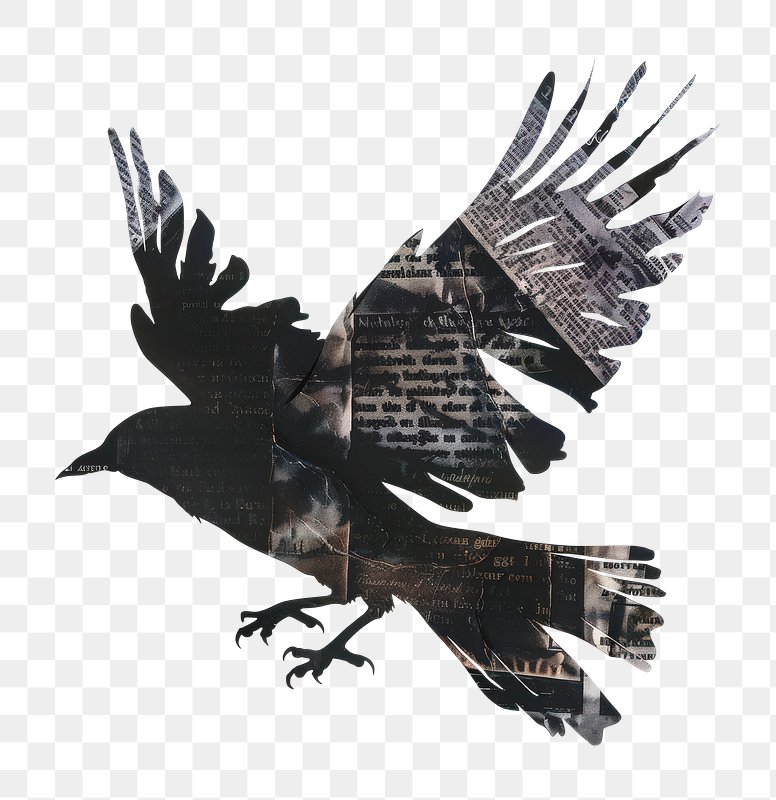 Flying Bird Design Images | Free Photos, PNG Stickers, Wallpapers ...