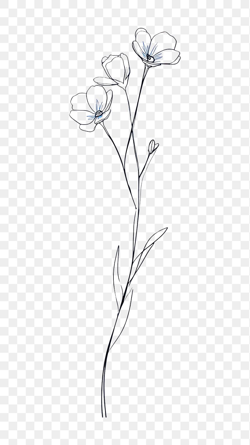 Pen+line Flower Images | Free Photos, PNG Stickers, Wallpapers ...