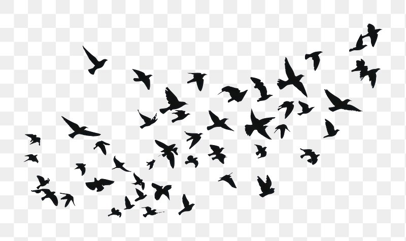 Bird Flying Nature Images | Free Photos, PNG Stickers, Wallpapers ...