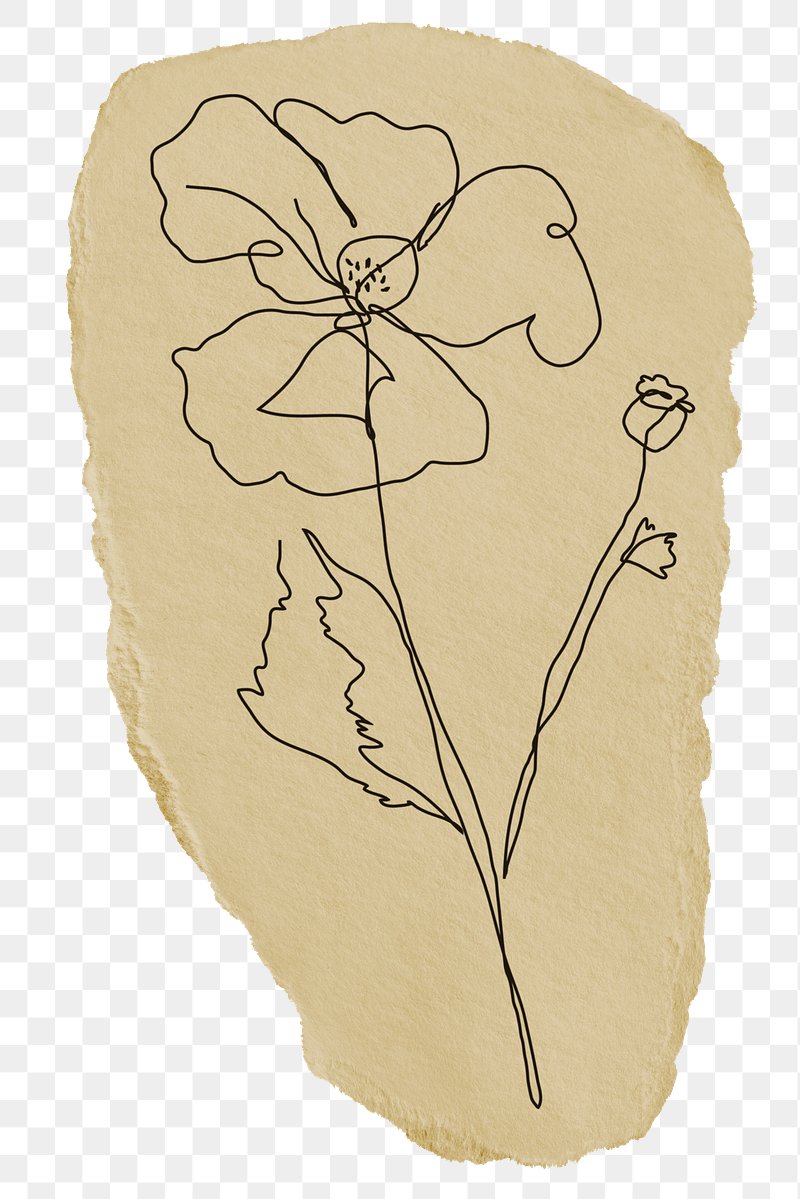 Flower line art png sticker, | Premium PNG - rawpixel