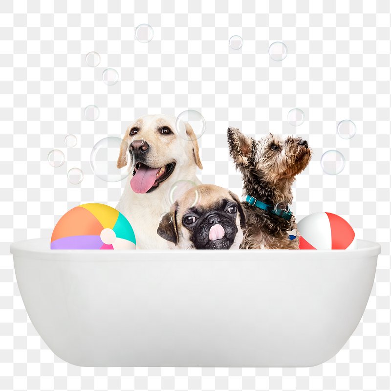 Bathing dogs png bath tub, | Premium PNG - rawpixel