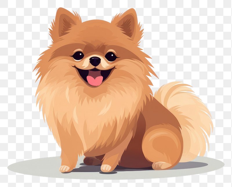 PNG Pomeranian mammal animal | Free PNG - rawpixel