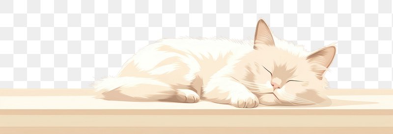 Turkish Elements Images | Free Photos, PNG Stickers, Wallpapers ...