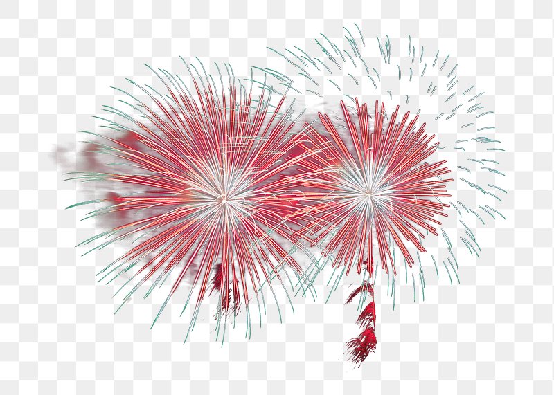 Festival firework png sticker, transparent | Free PNG - rawpixel