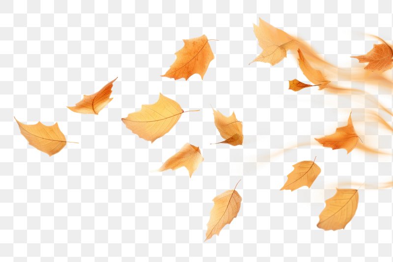 Fall Leaves Overlay Images | Free Photos, PNG Stickers, Wallpapers ...