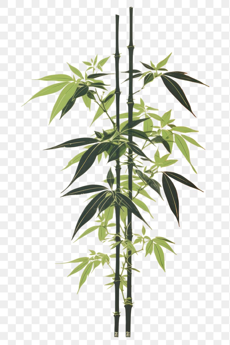 Canves Texture Images | Free Photos, PNG Stickers, Wallpapers ...