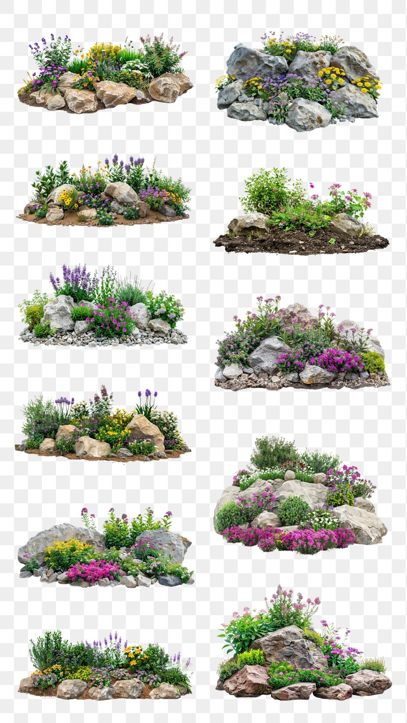 PNG Flower garden design element | Premium PNG - rawpixel