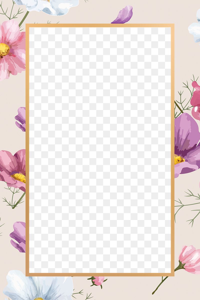 Rectangle Cosmos Flower Frame Images | Free Photos, PNG Stickers ...