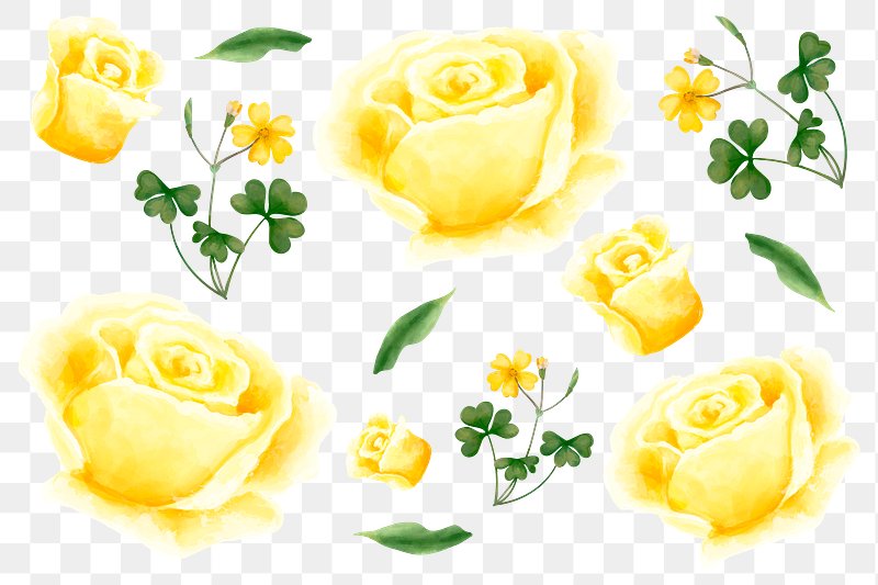 Yellow Roses Images | Free Photos, PNG Stickers, Wallpapers ...