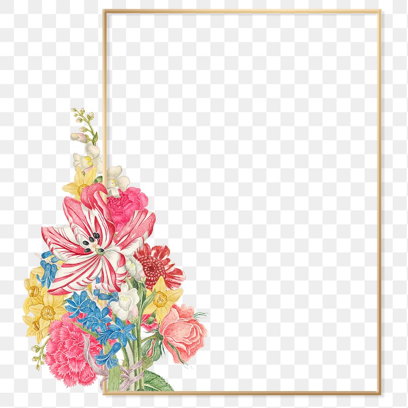 Red Roses Rectangled Frame Design PNG Images | Free Photos, PNG ...