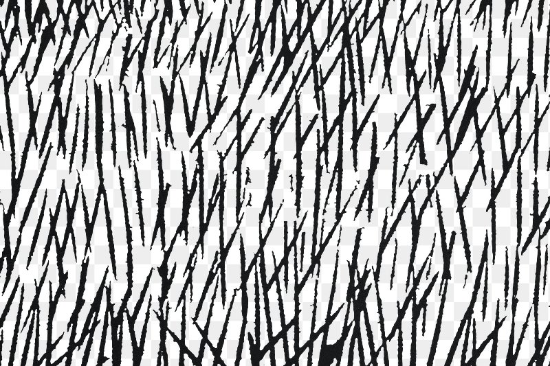 Scratch Marks Images | Free Photos, PNG Stickers, Wallpapers ...