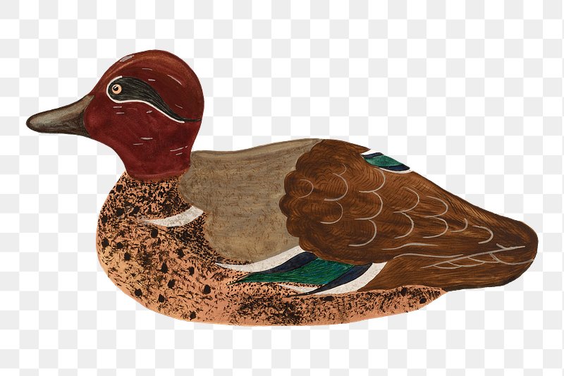 Decoy Images | Free Photos, PNG Stickers, Wallpapers & Backgrounds ...