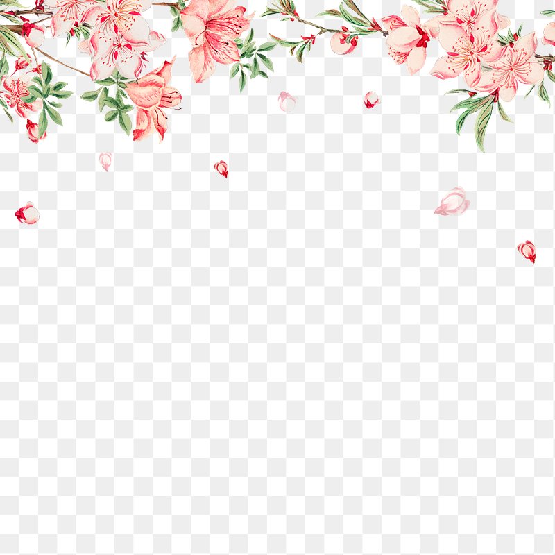 Flowers Border Designs | Free Vector Graphics, Clip Art, PSD & PNG ...